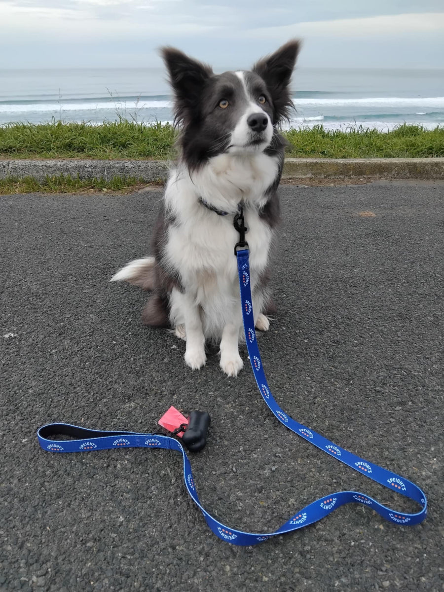 Dog Lead Speight's